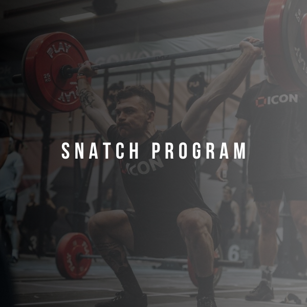 ICON Nutrition Strength, CrossFit and Hiit Workout Ideas