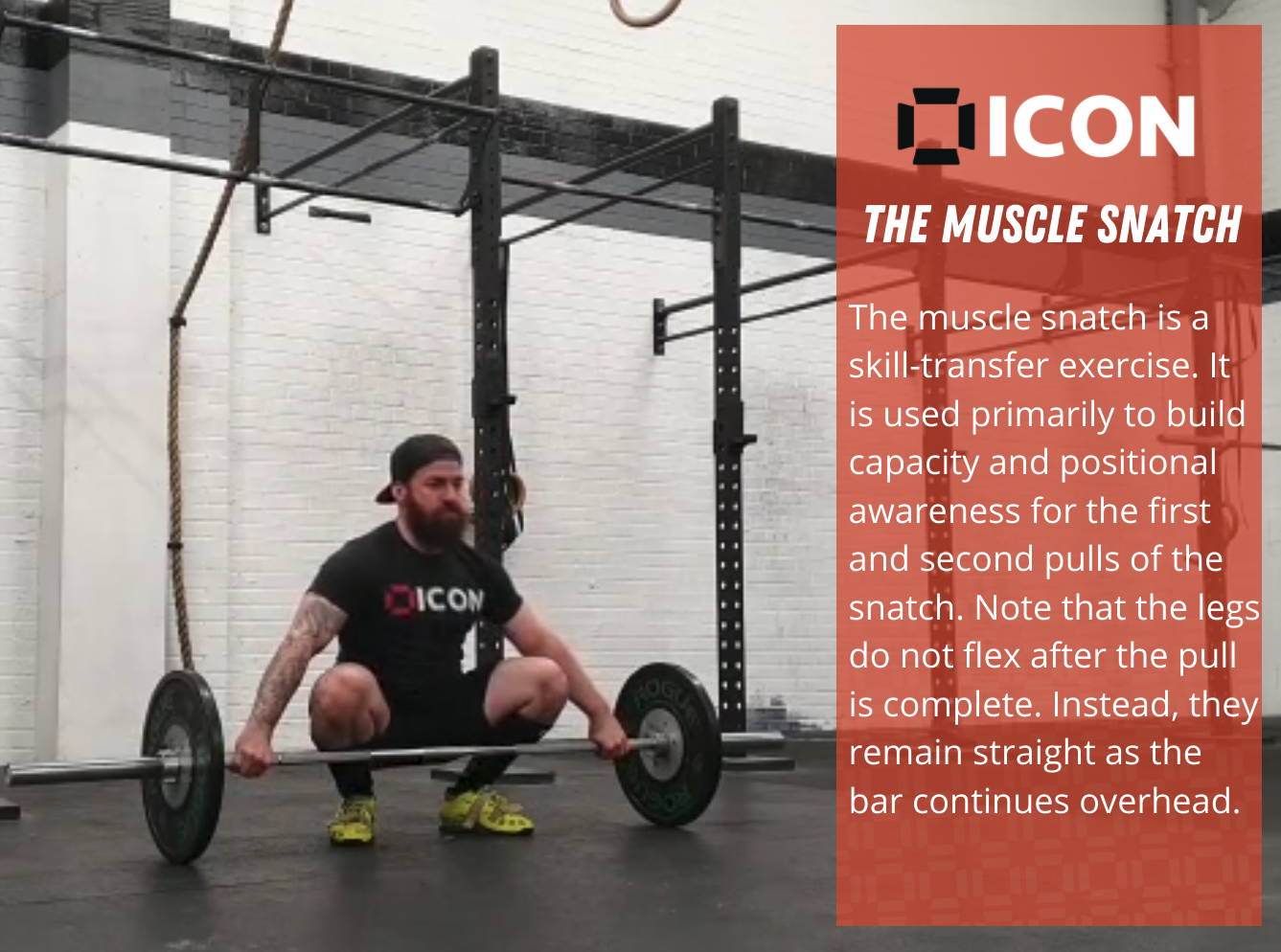 Free Snatch Program – ICON Nutrition